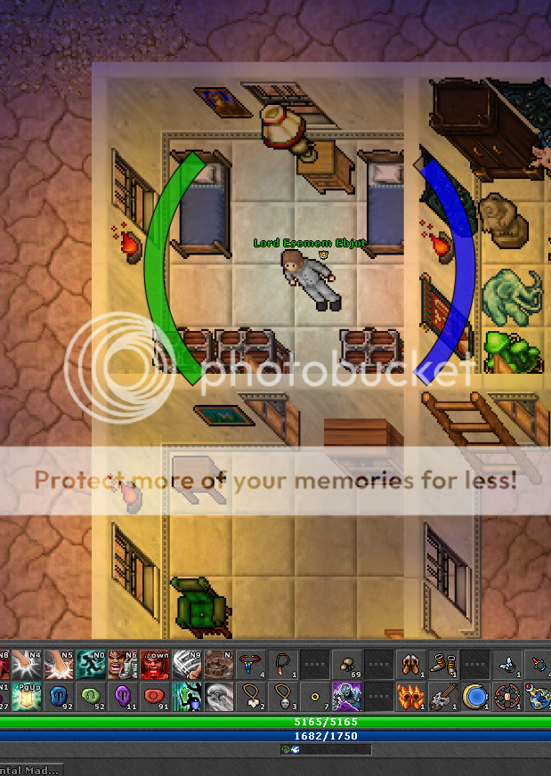 My house :) Same house & same deco as I had in 2007 : r/TibiaMMO